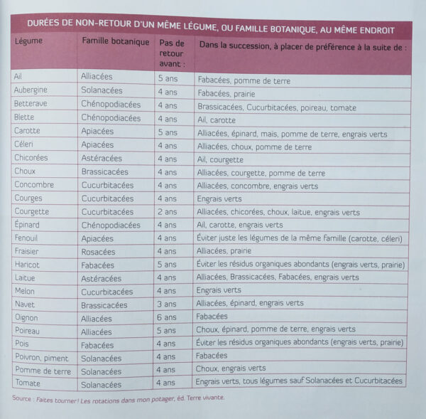 Cultures associées et rotation des cultures - Jardin Biskoul